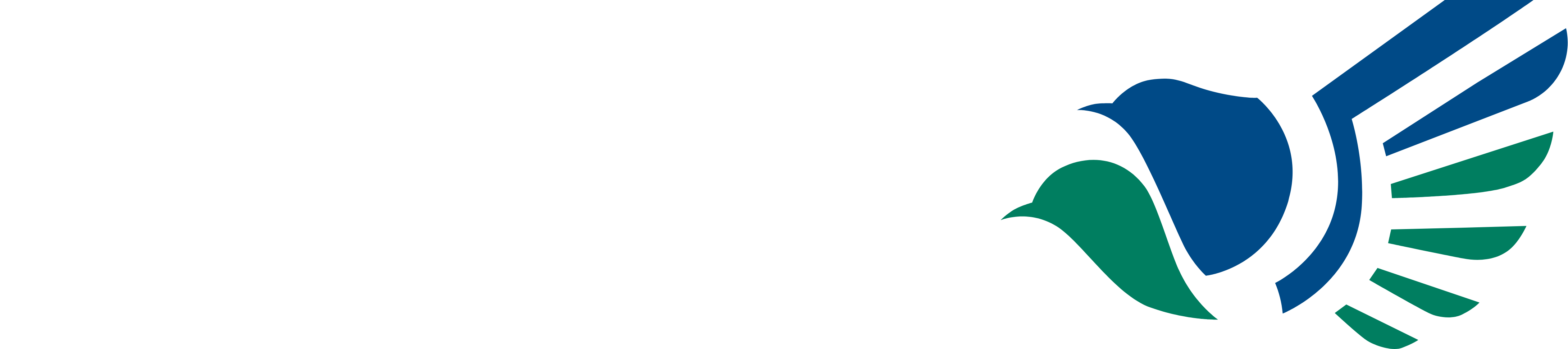 製品紹介 | 二幸送風機株式会社